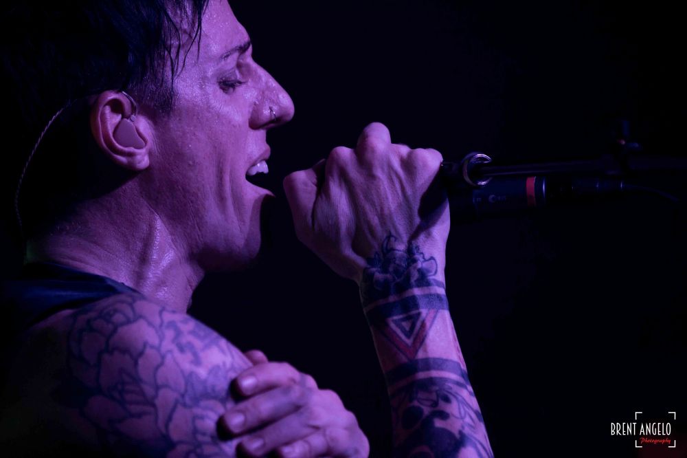 Rob Daiker Release Party at Dante’s