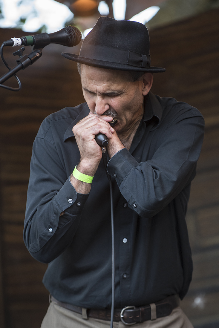 David Pinsky and Phil Newton at the Safeway Waterfront Blues Festival ...
