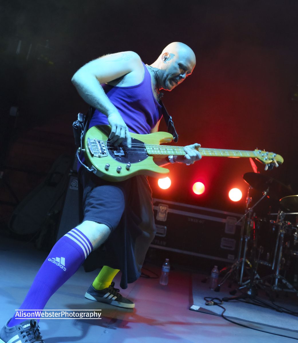 HAREFEST 12, Night 2. Canby, OR. JULY 19, 2024 / Photos