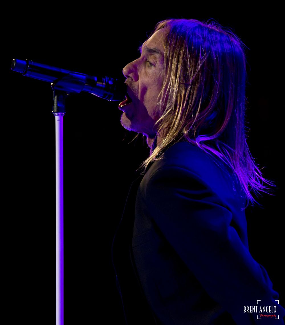 Iggy Pop - Post Pop Depression Tour at Keller Auditorium on 03/29/16 ...