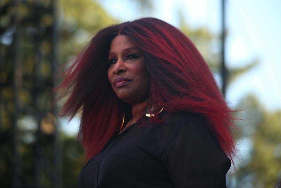Michael McDonald & Chaka Khan at the Oregon Zoo on 7/29/2019 - Photos