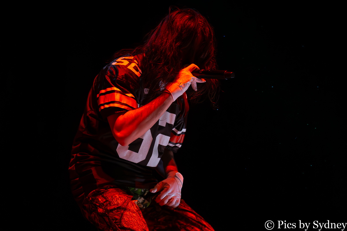 Through the Eyes of a Preteen: Loserville Tour (Limp Bizkit, BONES ...